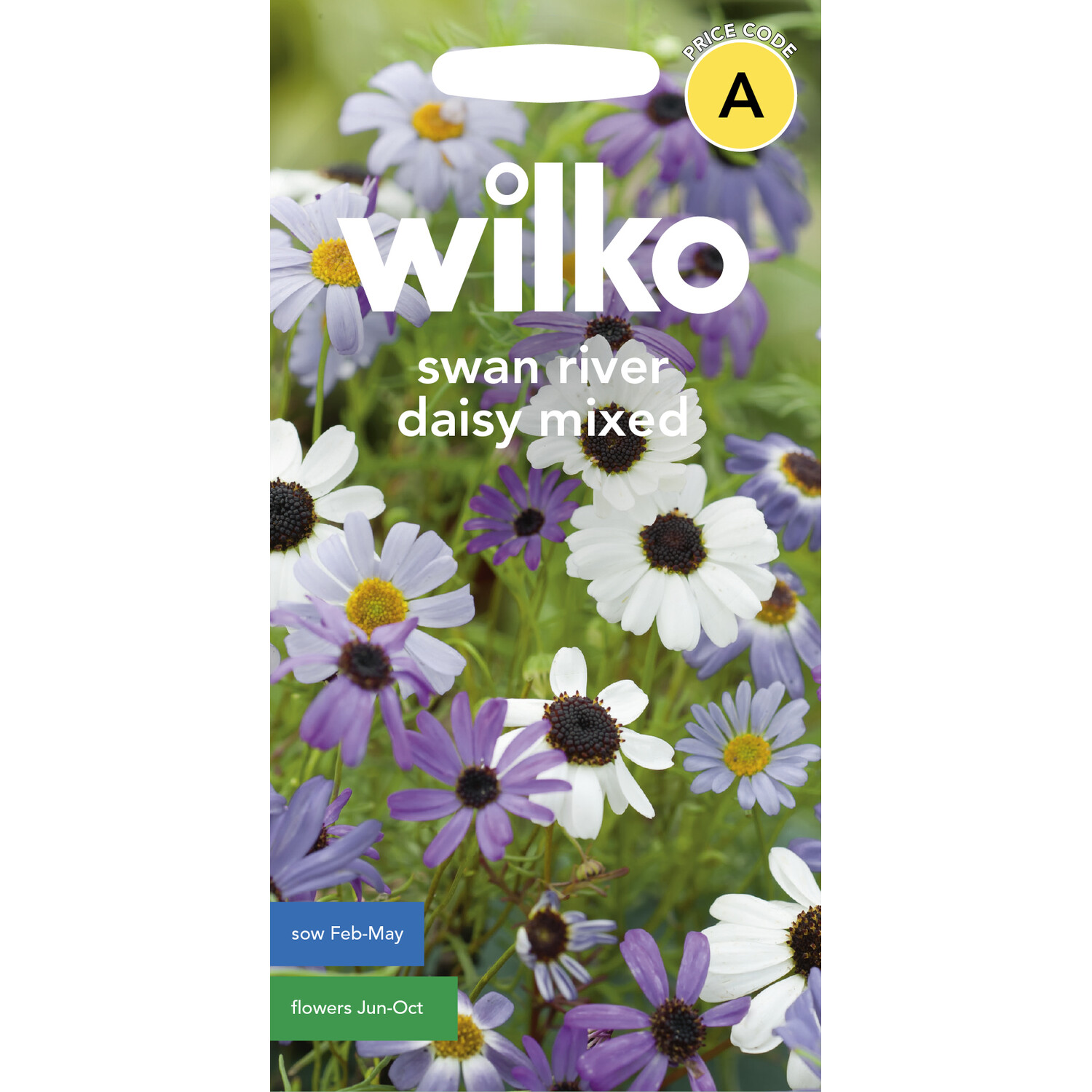 Wilko Swan River Daisy Mix Seeds | Homebase